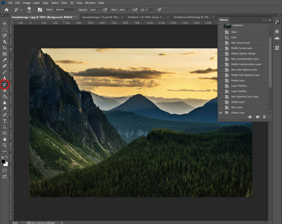 How To Undo and Redo In Adobe Photoshop - Sydney Photographs
