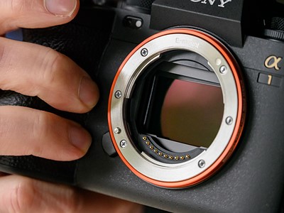 Sony a1 sample gallery updated with new images, Raw conversions ...